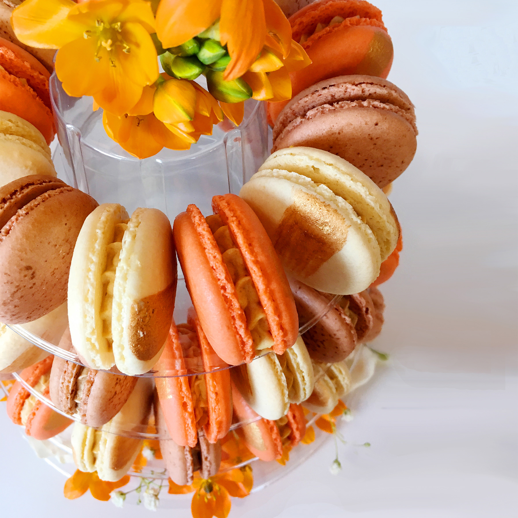 Colette Macaron | Insured French Macaron Bakery