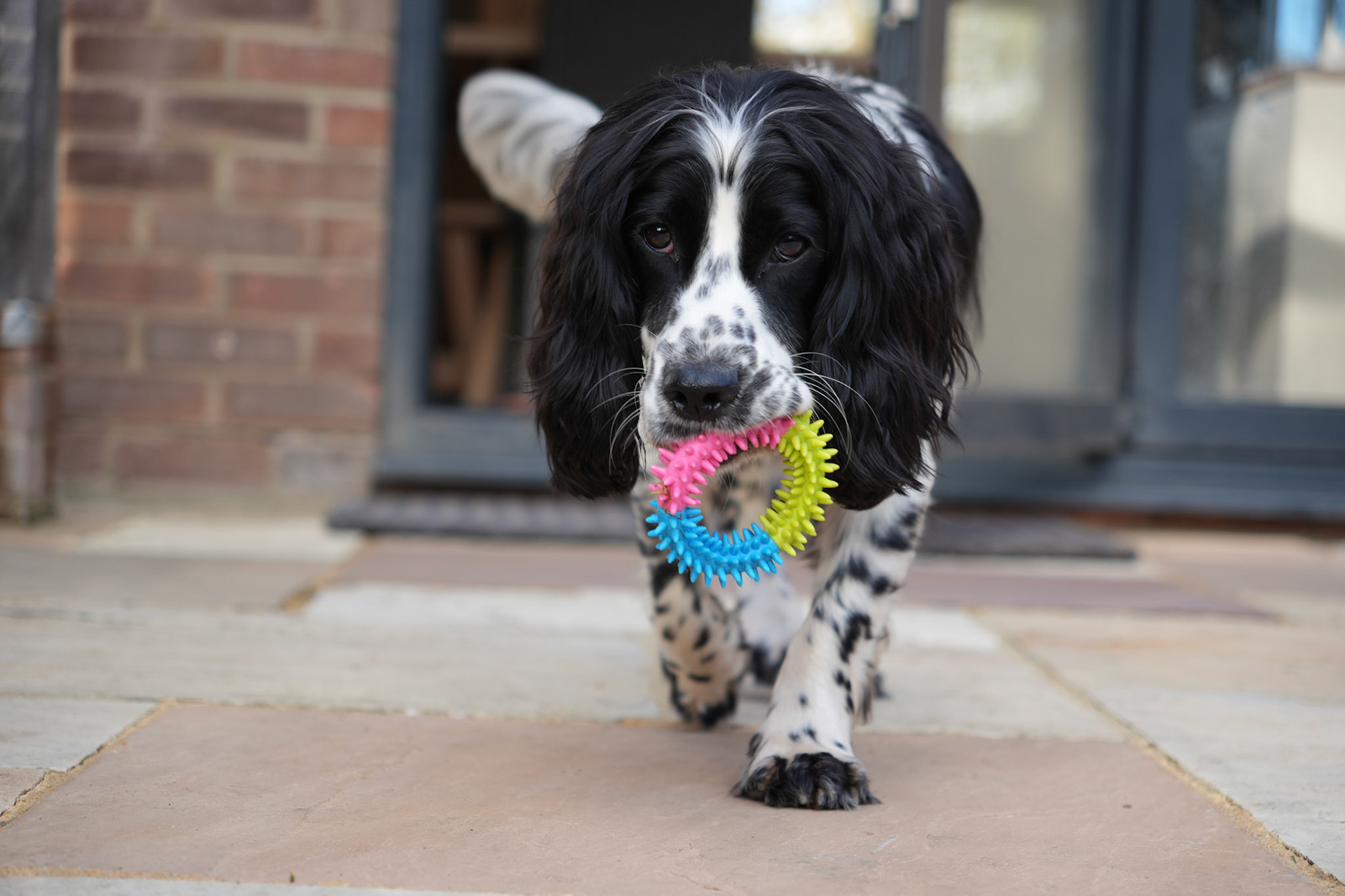 Nick Randell - Stanley and Olive