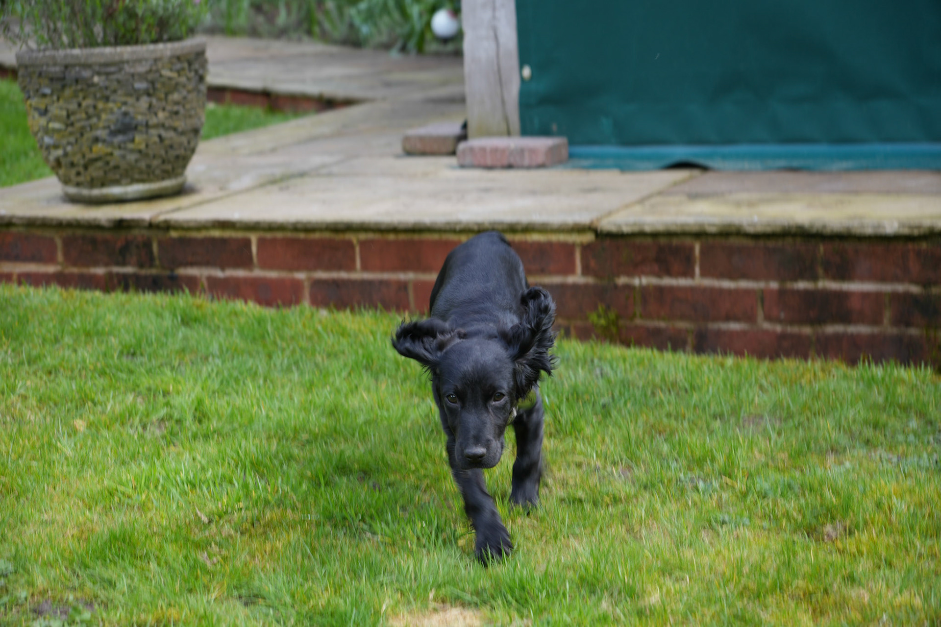 Nick Randell - Stanley and Olive