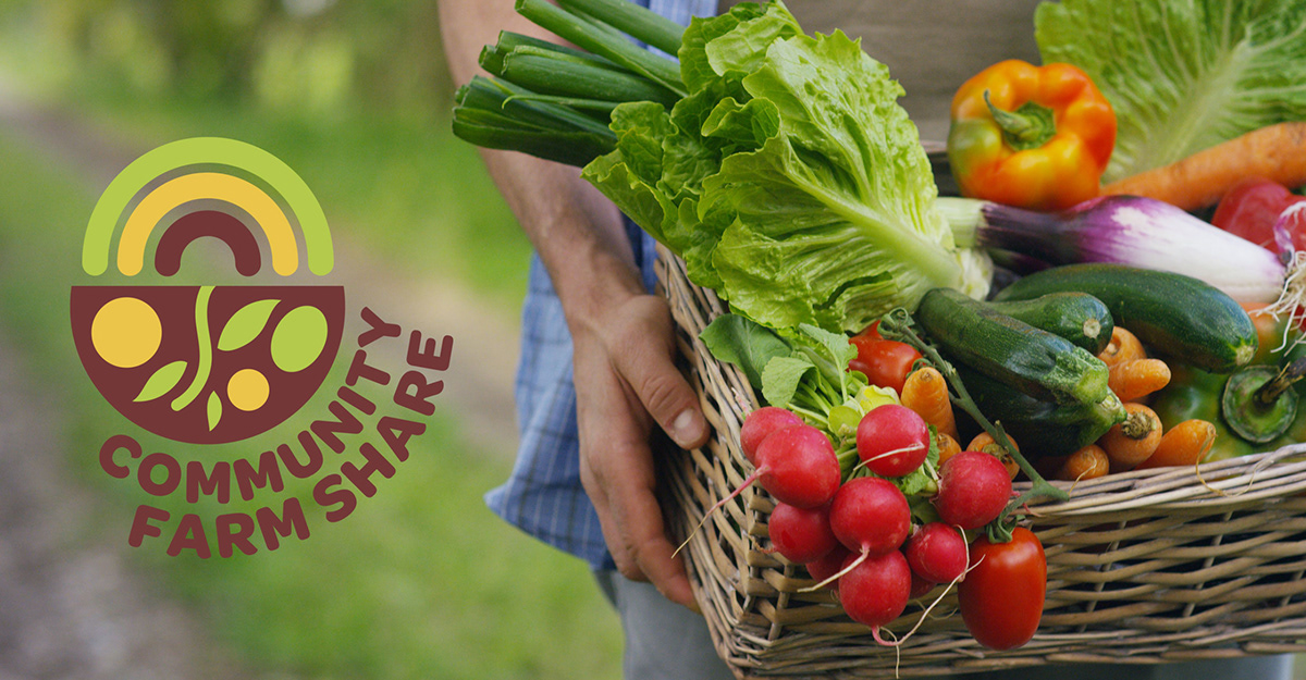 Maria Loor - Community Farm Share | logo and visual identiy