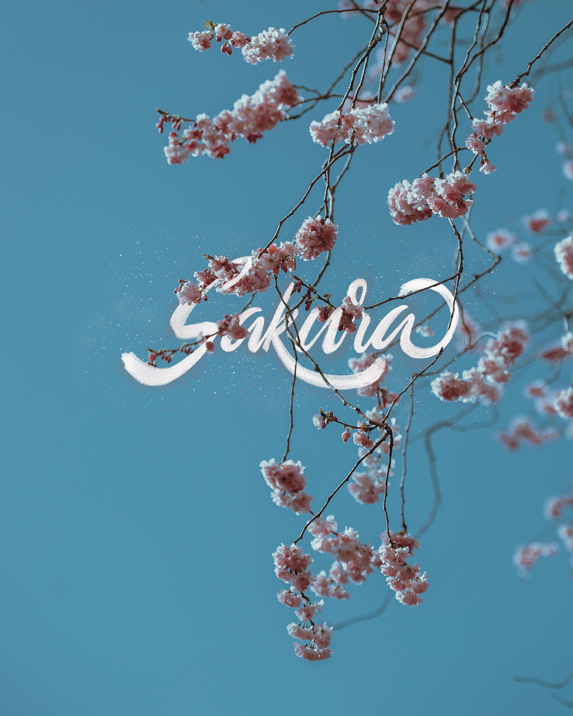 Andres Medrano - Lettering