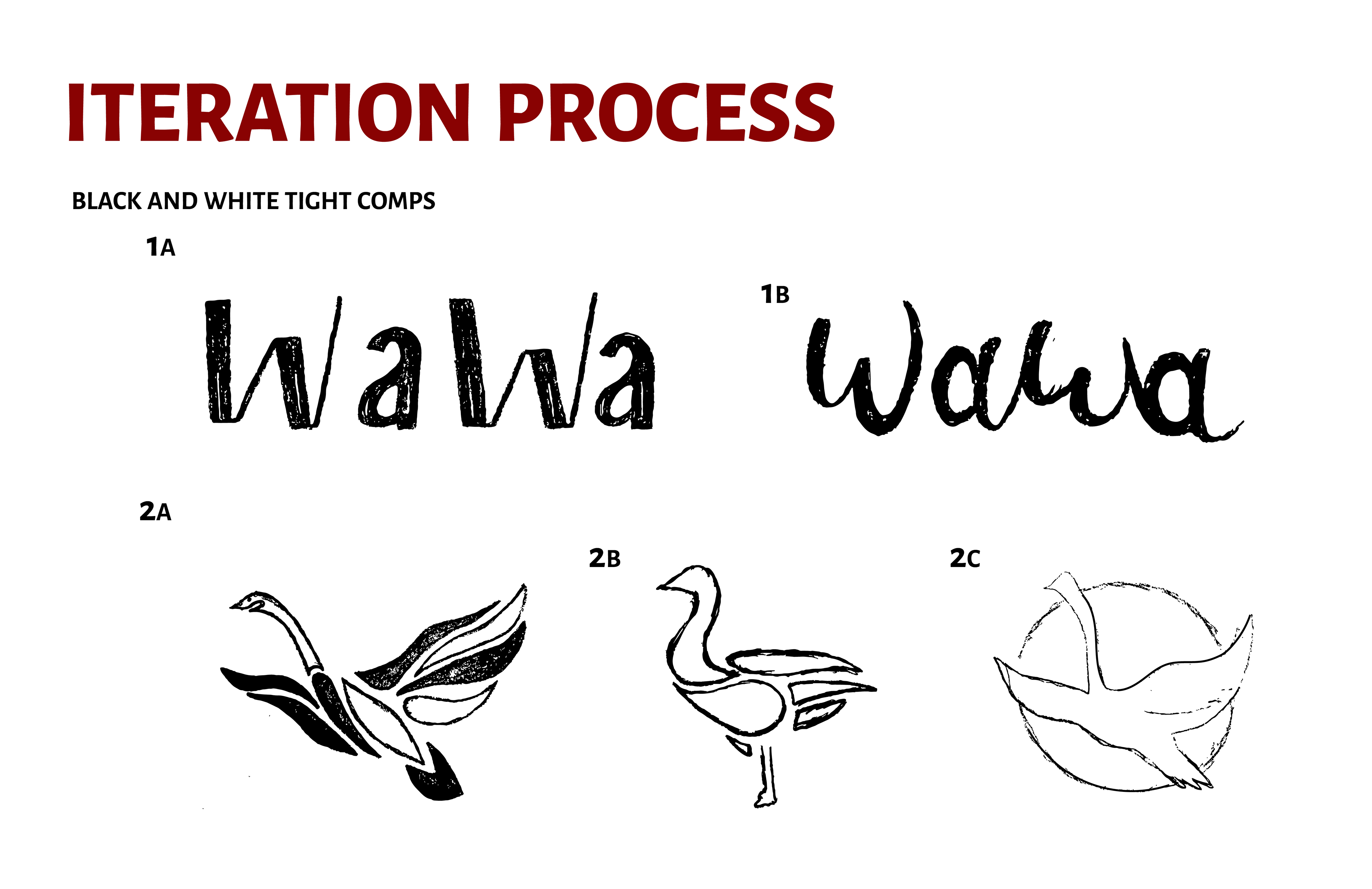 Kiaya Jones - Wawa Case Study