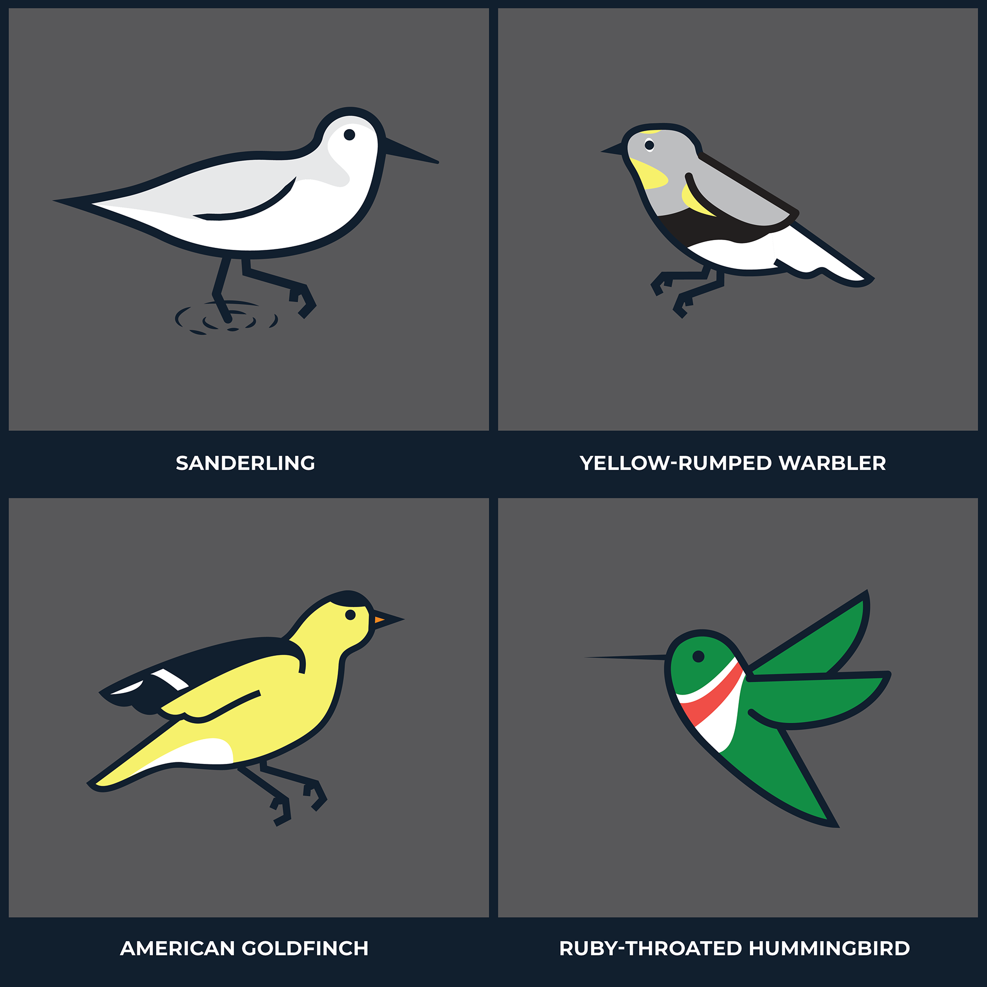 SEED Design - Boston Bird Bingo