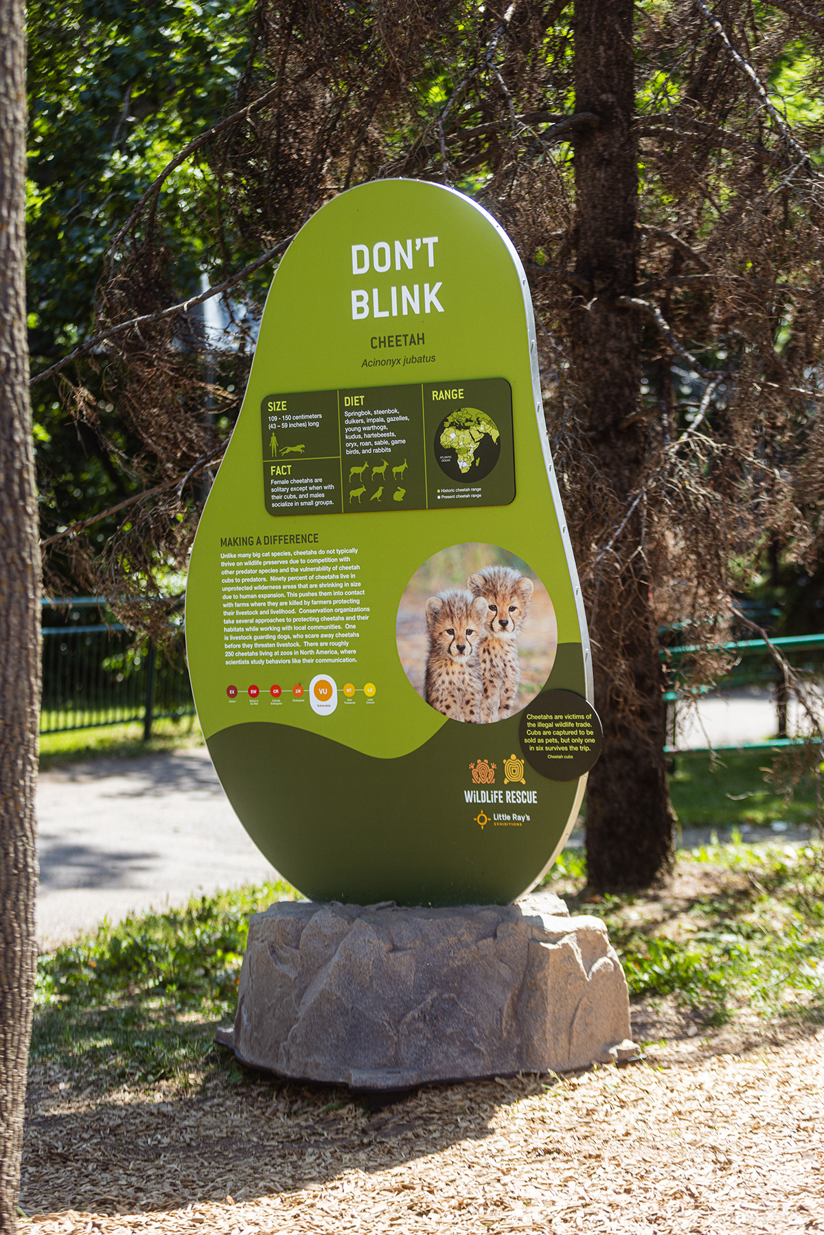 Little Ray's Exhibitions - Wildlife Rescue - Tales Of Conservation