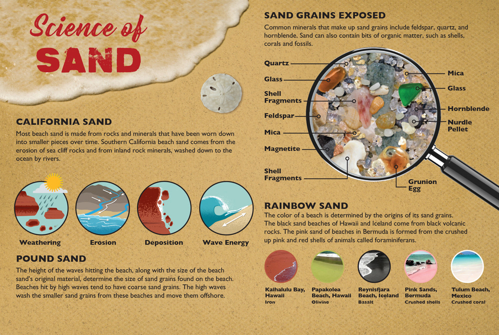 Christopher Barela - Case Study: Surf Science Gallery