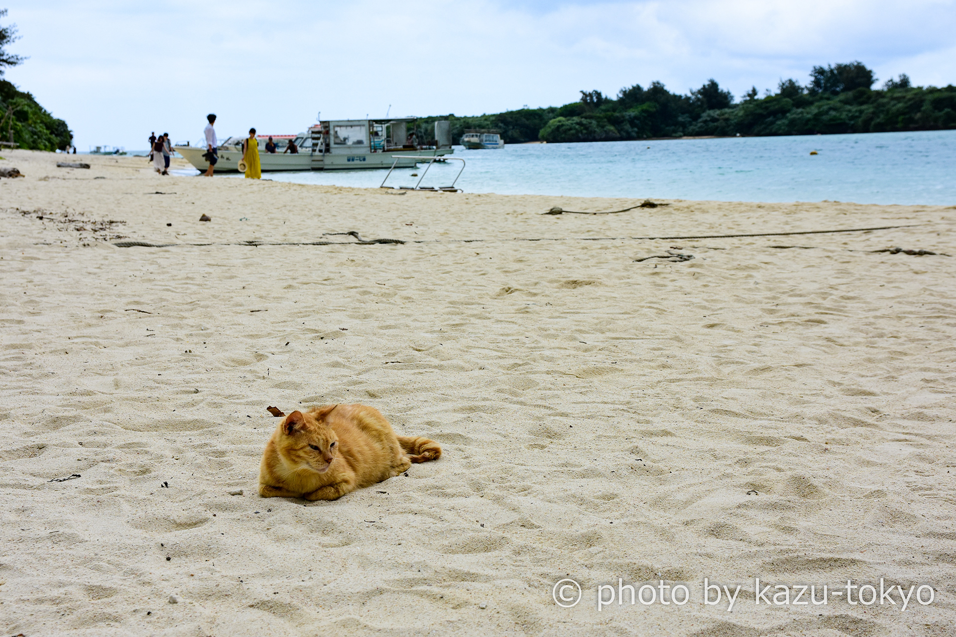 kazu-tokyo.com / 日本の風景写真を公開 - OKINAWA REGION