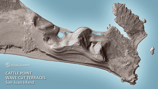 Dan Coe Carto - Washington Lidar Images
