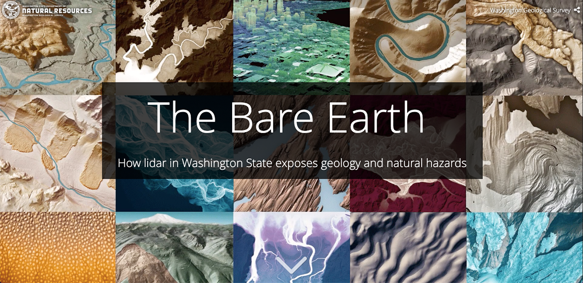 Dan Coe Carto - The Bare Earth