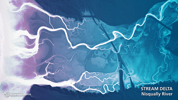 Dan Coe Carto - Washington Lidar Images