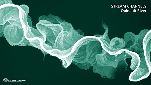 Dan Coe Carto - Washington Lidar Images