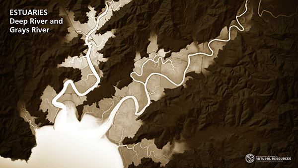Dan Coe Carto - Washington Lidar Images