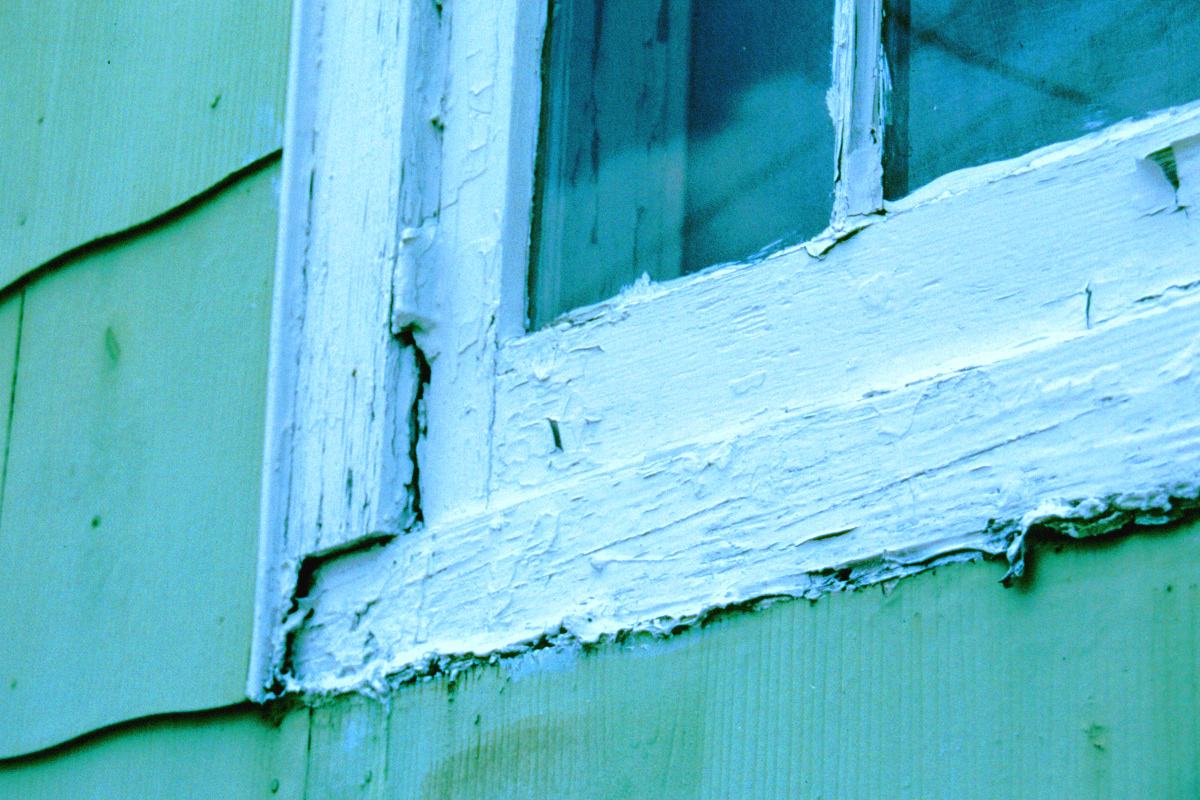 Patrick Cheatham's Portfolio