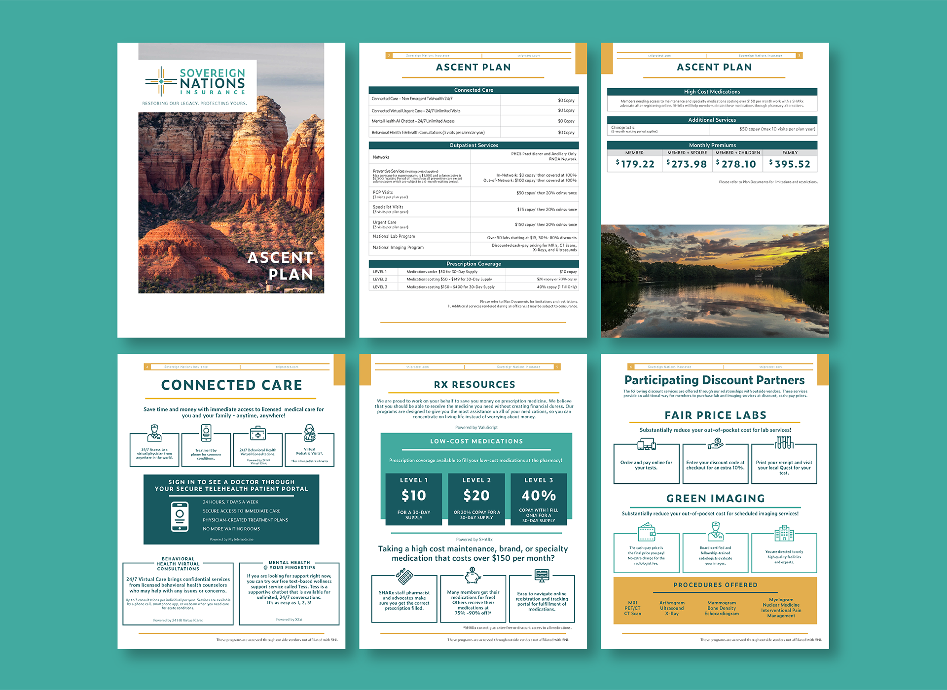 Morgan Schulte - Sovereign Nations Insurance Branding Package