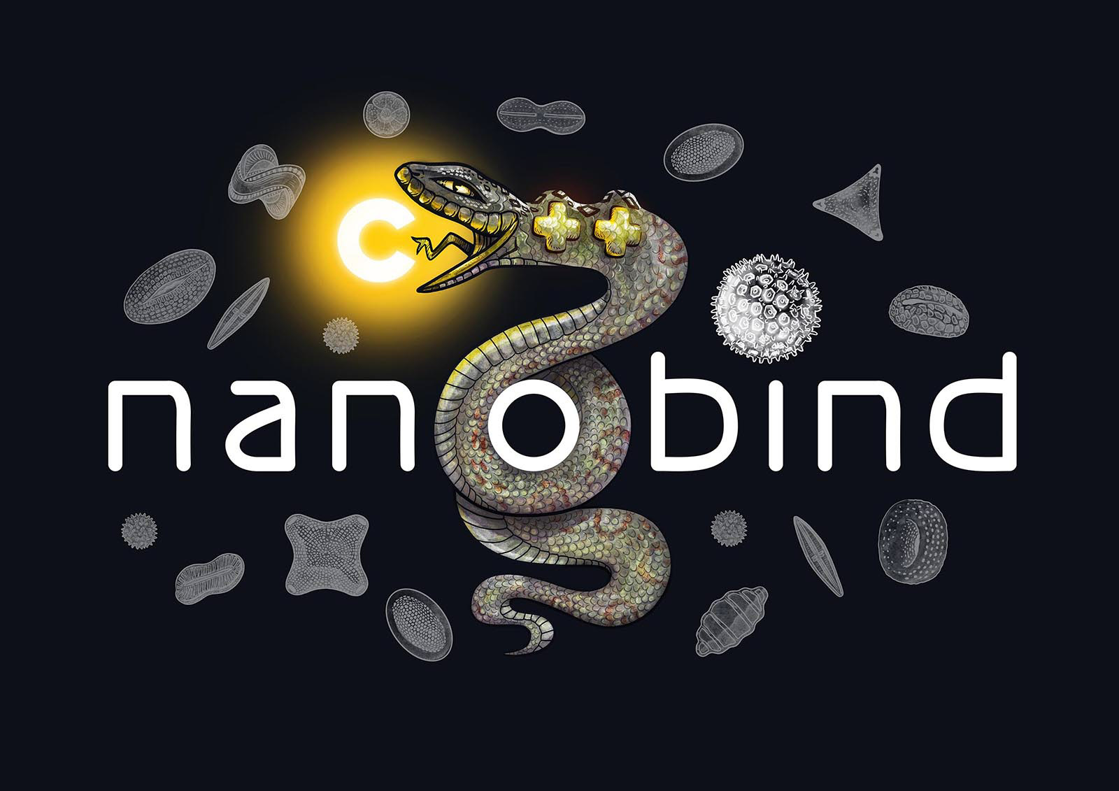 AndoTwin Studio - Nanobind