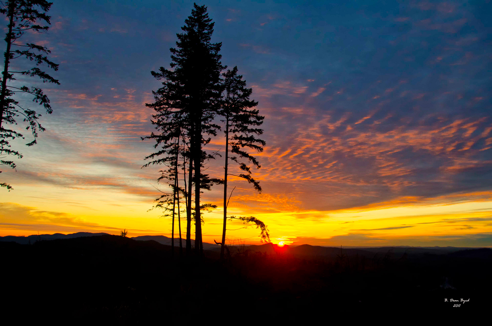 Dean Byrd Photography - Images from my local area