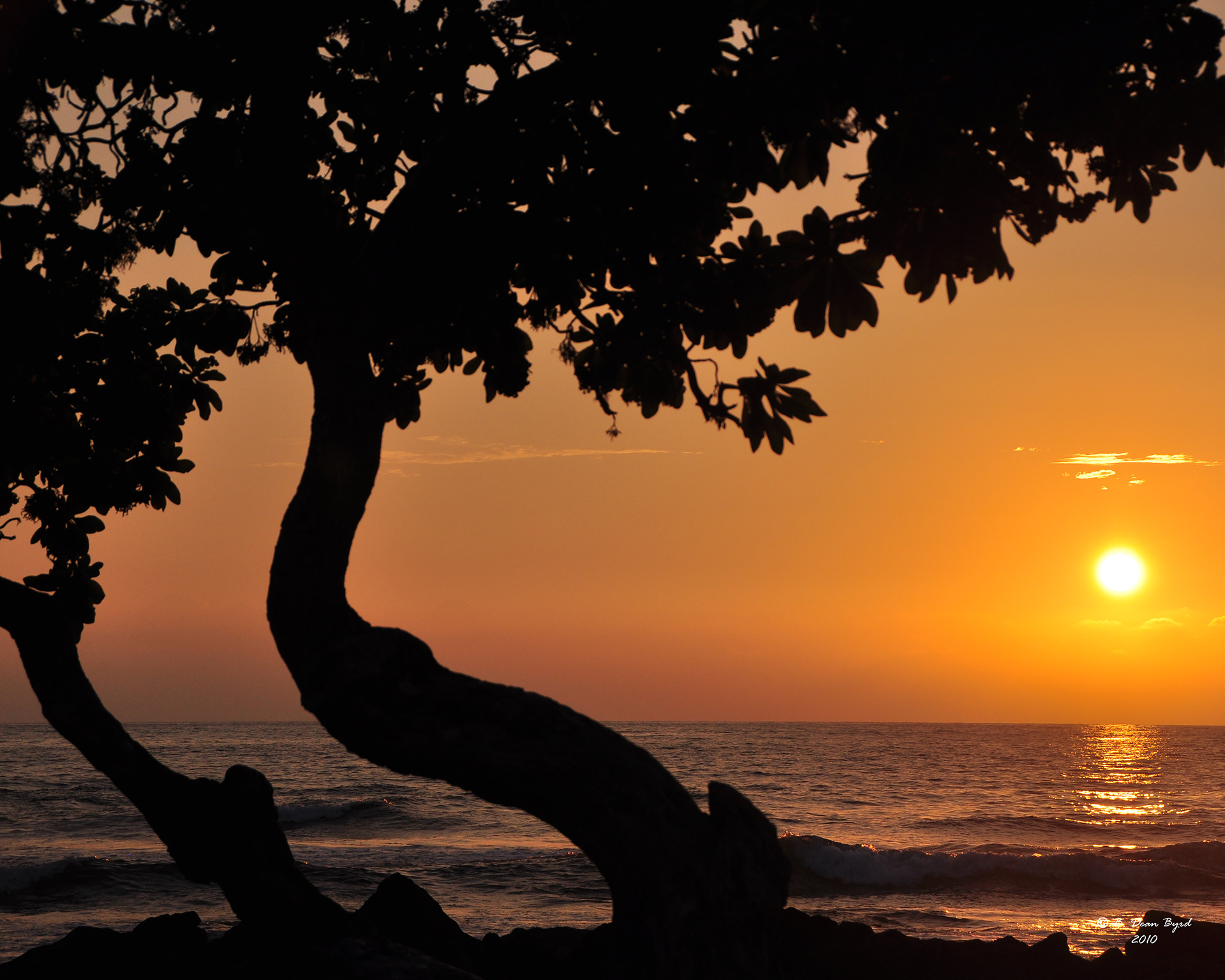 Dean Byrd Photography - Images from the Islands