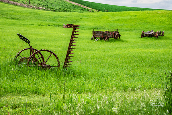 Dean Byrd Photography - More Beautiful Images from the Palouse Region