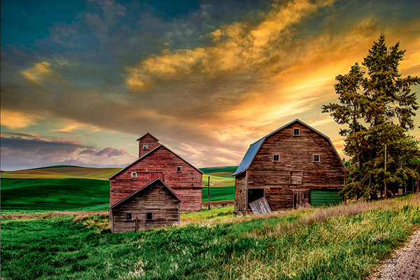 Dean Byrd Photography - More Beautiful Images from the Palouse Region