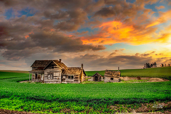 Dean Byrd Photography - More Beautiful Images from the Palouse Region
