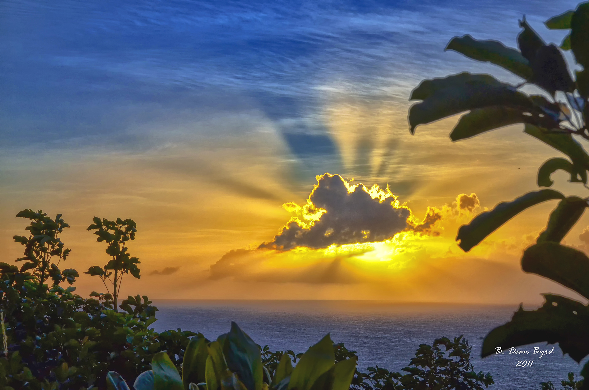 Dean Byrd Photography - Images from the Islands