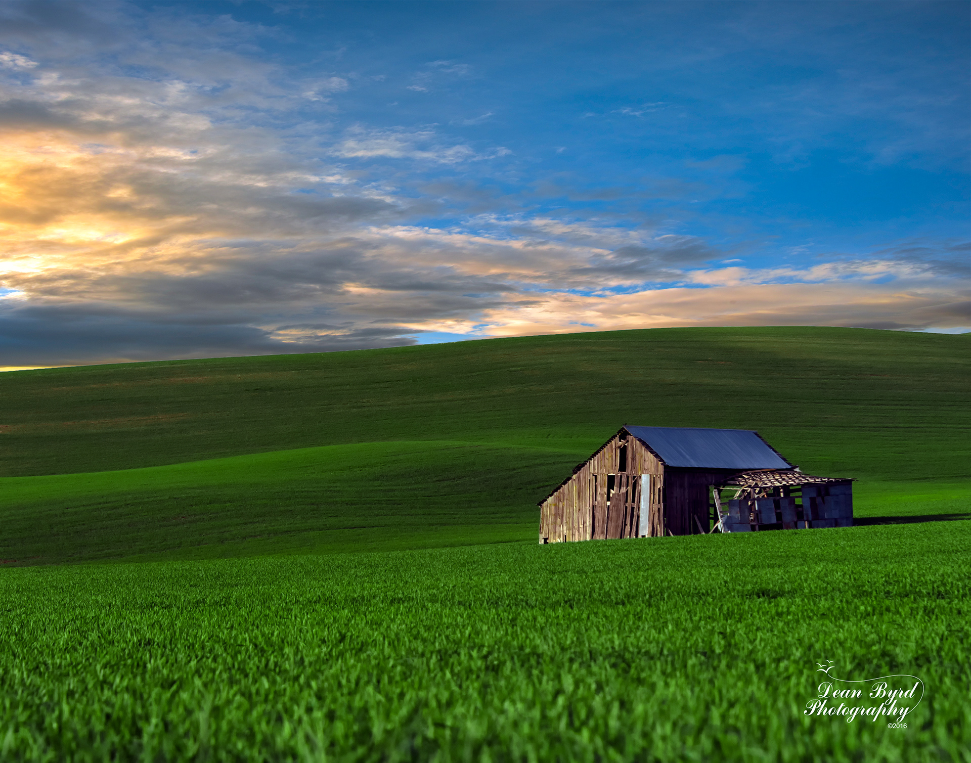 Dean Byrd Photography - Images from the Palouse
