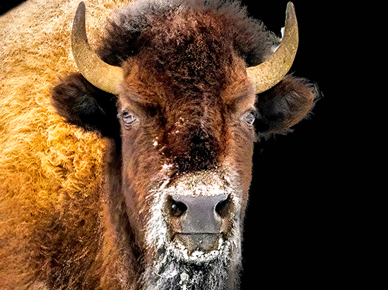 Dean Byrd Photography - More Beautiful Images from the Palouse Region
