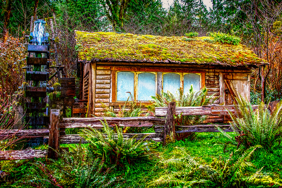 Dean Byrd Photography - Images from my local area