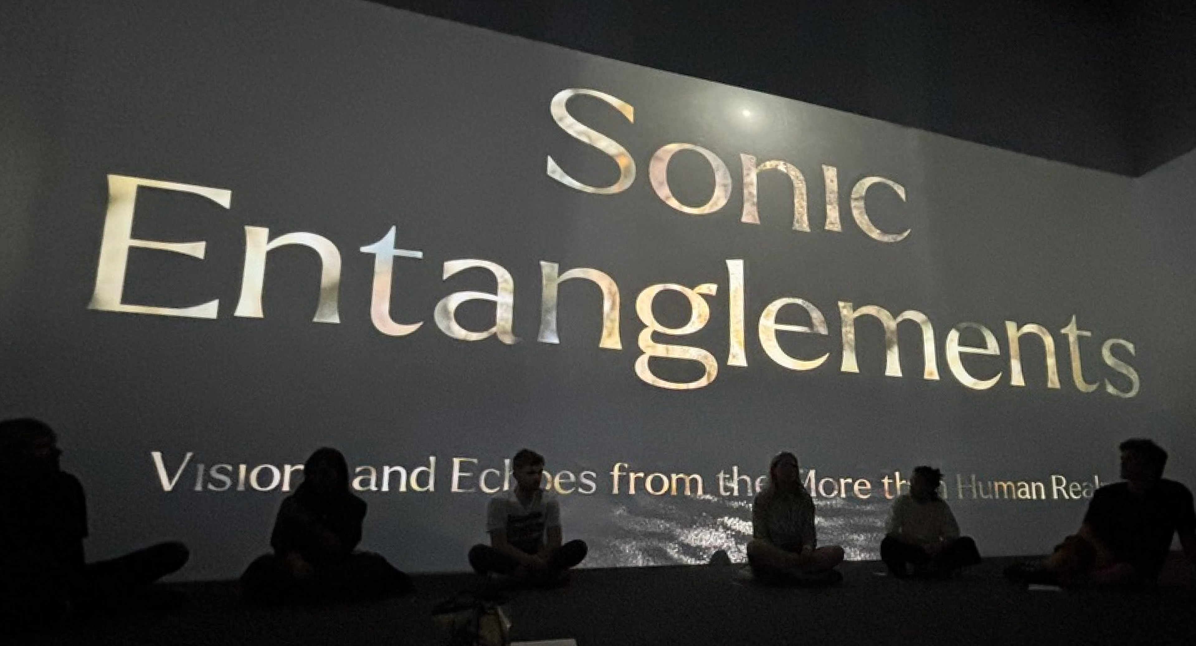 Shatakshi Singh - Sonic Entaglements