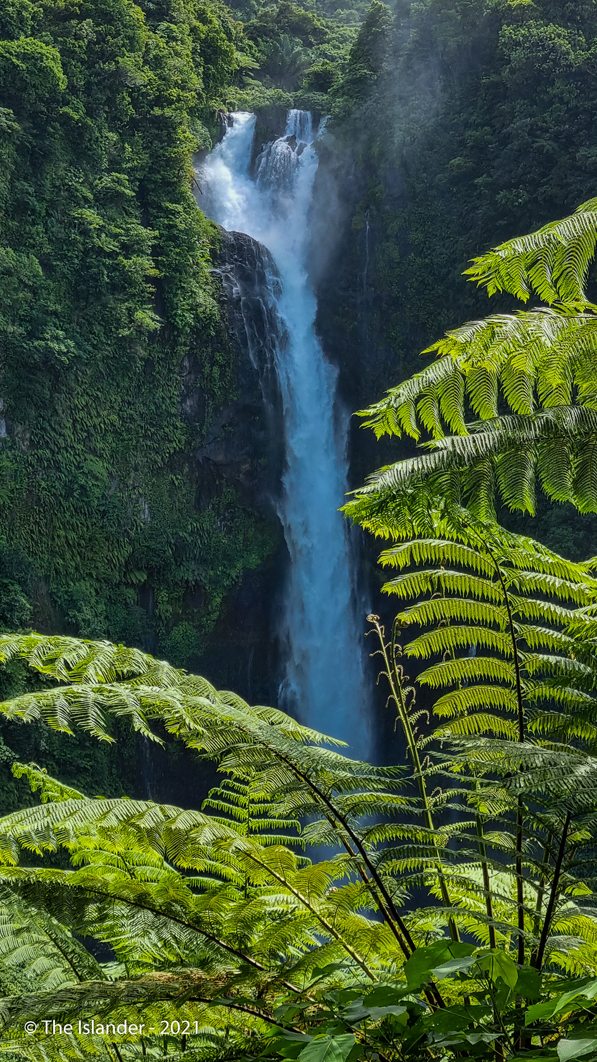 The Islander - Vanuatu Photography & Videography - Gaua Island