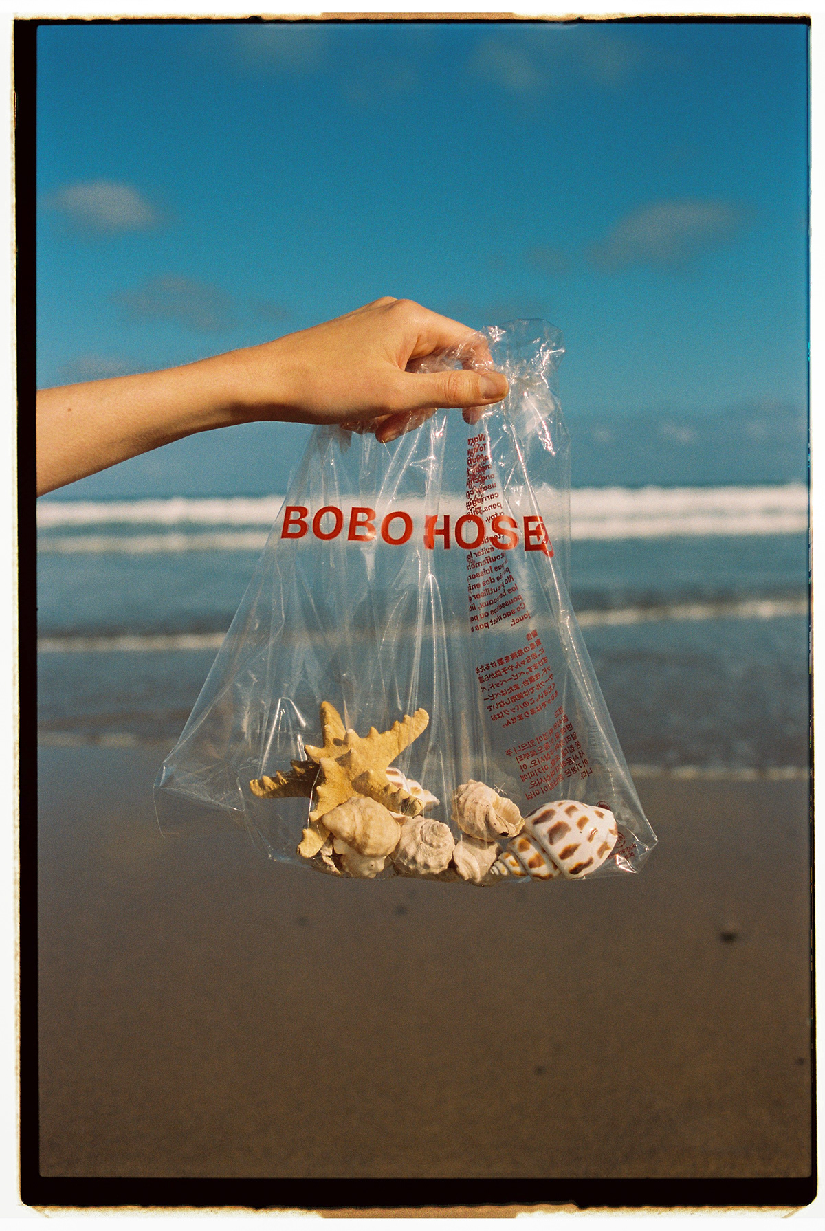 raquel chicheri - BOBO CHOSES - LIVING ON A SHELL