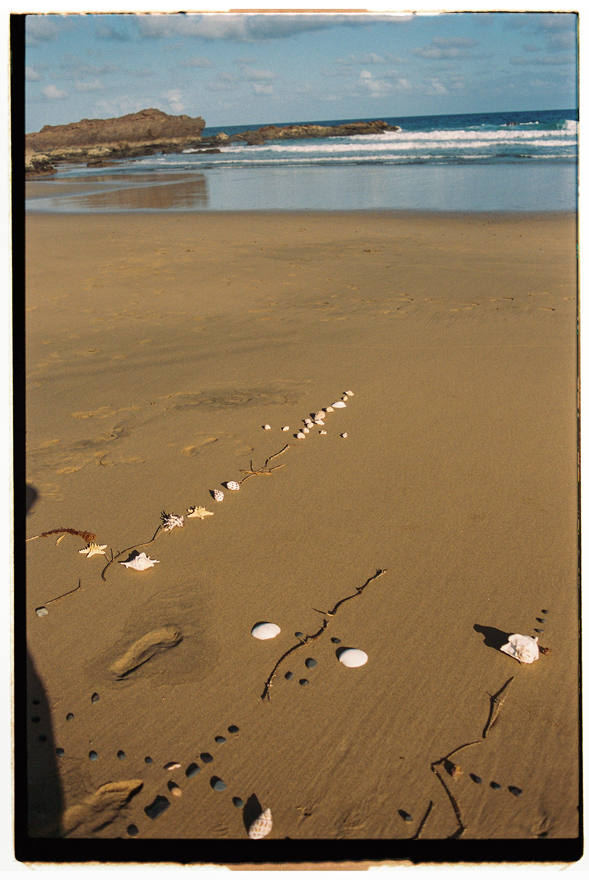 raquel chicheri - BOBO CHOSES - LIVING ON A SHELL