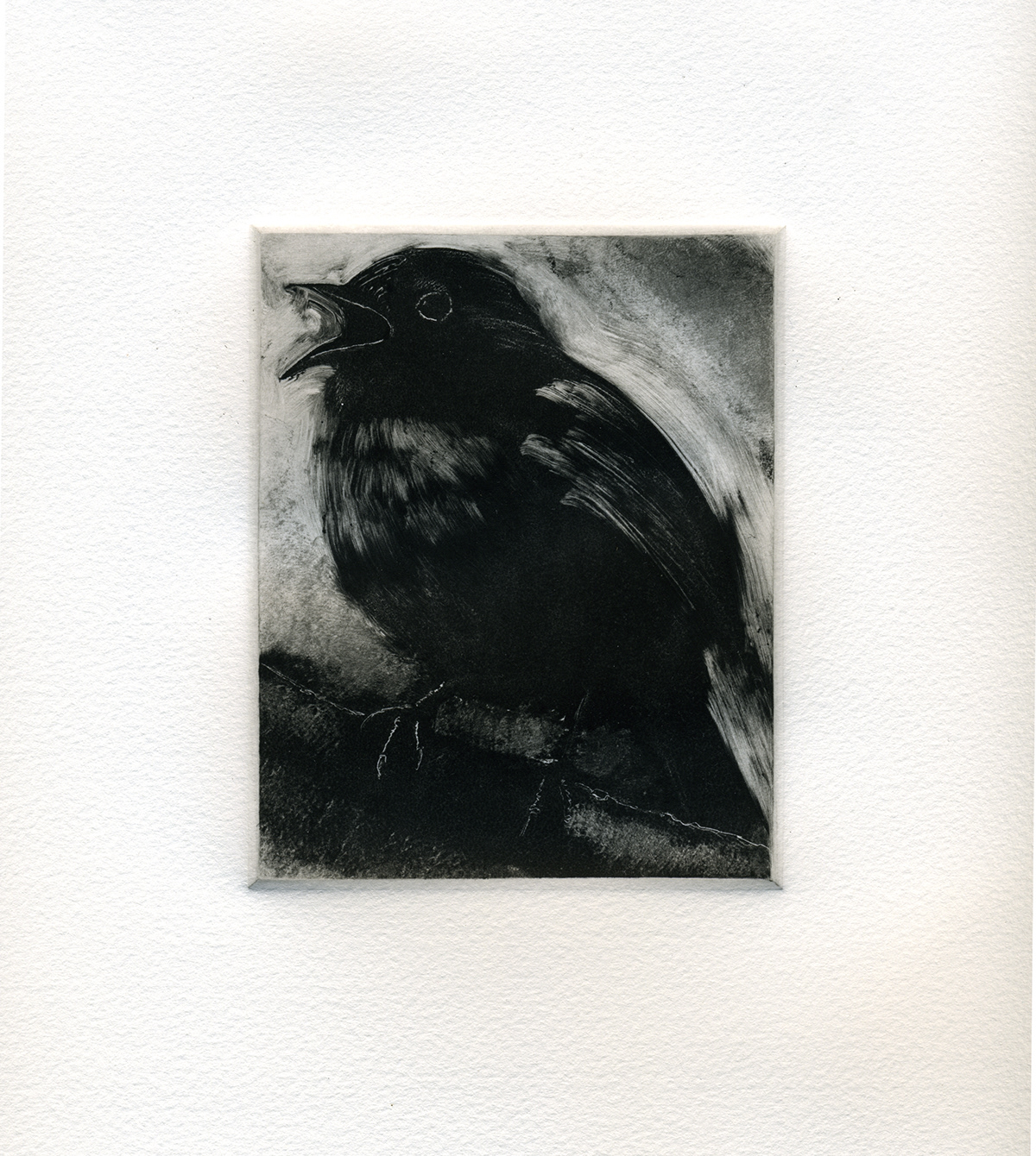 james lorigan Artist - Printmaking