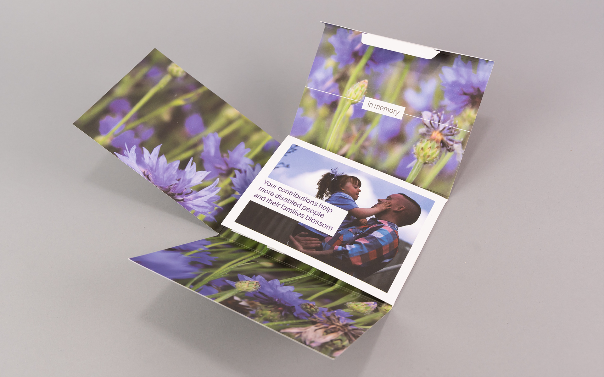 David Hibberd - Fundraising mailshots