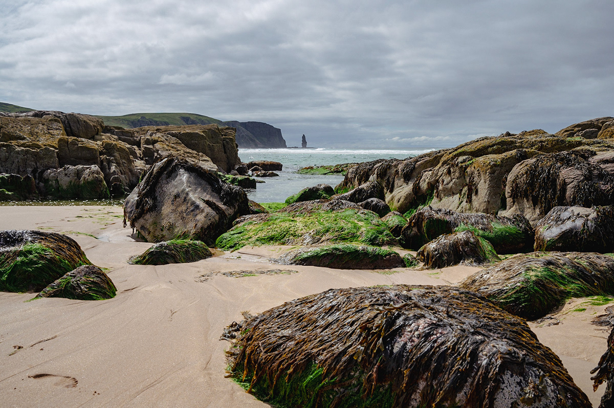 Michael Bryant - Scotland