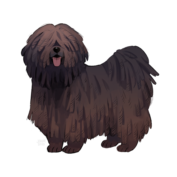 Art of Jeniak - Doggust 2020