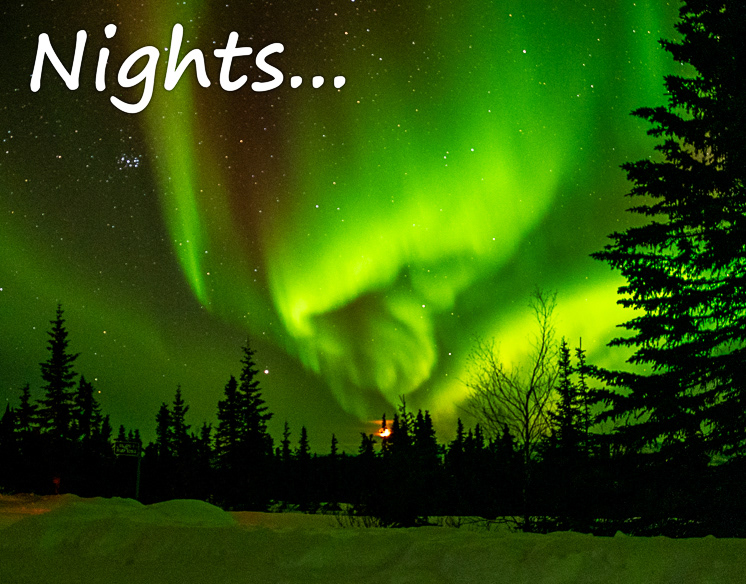 Jane Mahaffie - Nights...