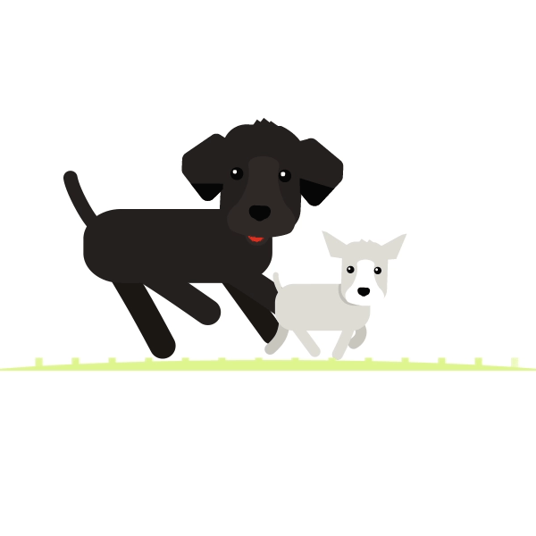 Super Fresh : Animation & Design