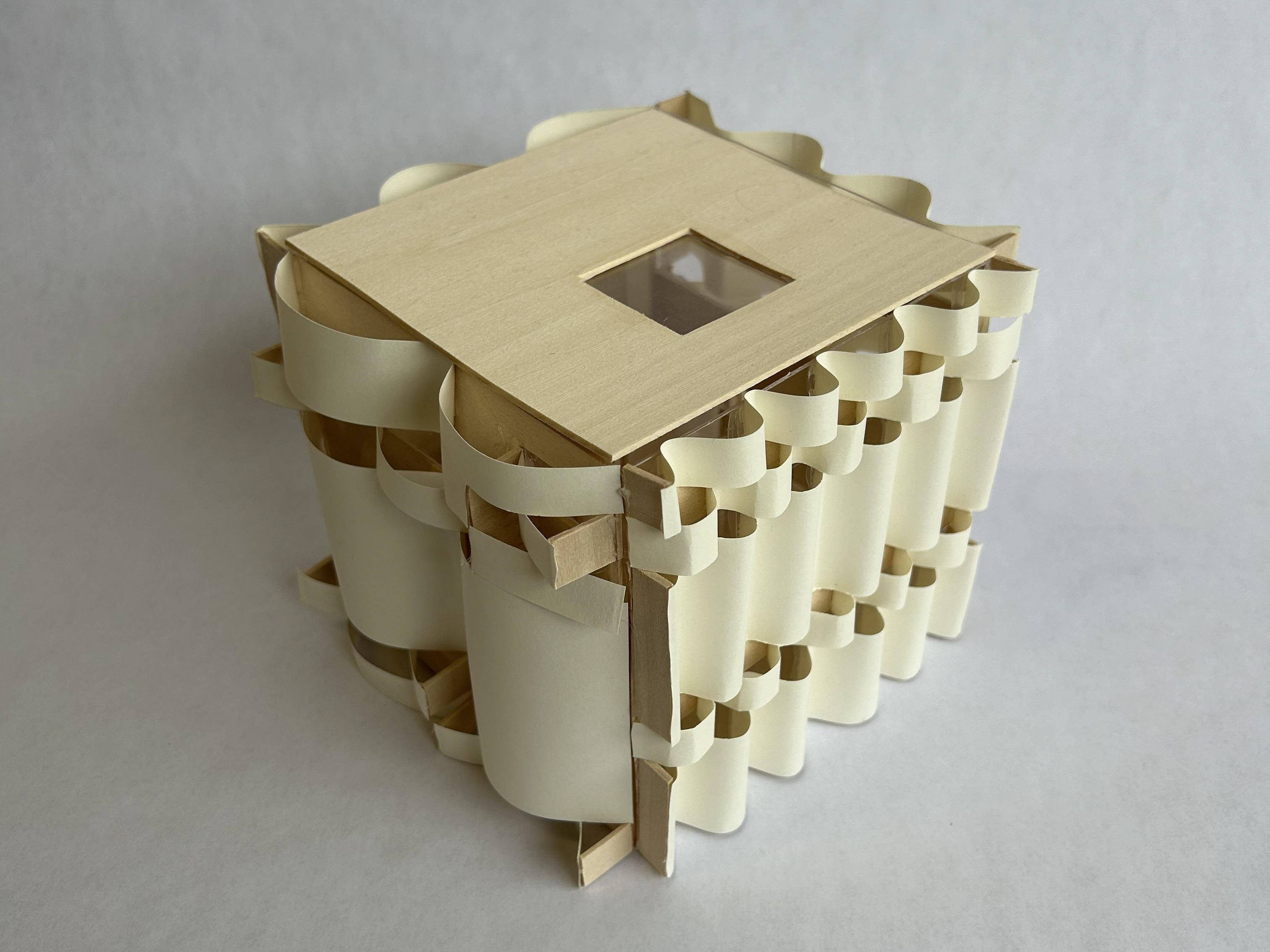 Emma Swenson - Portfolio