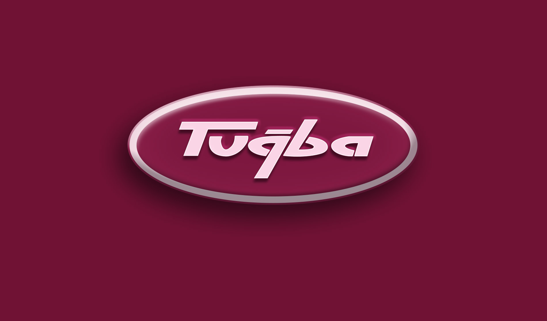 Tuna Agçe - Tugba Kuruyemiş Logo Tasarımı