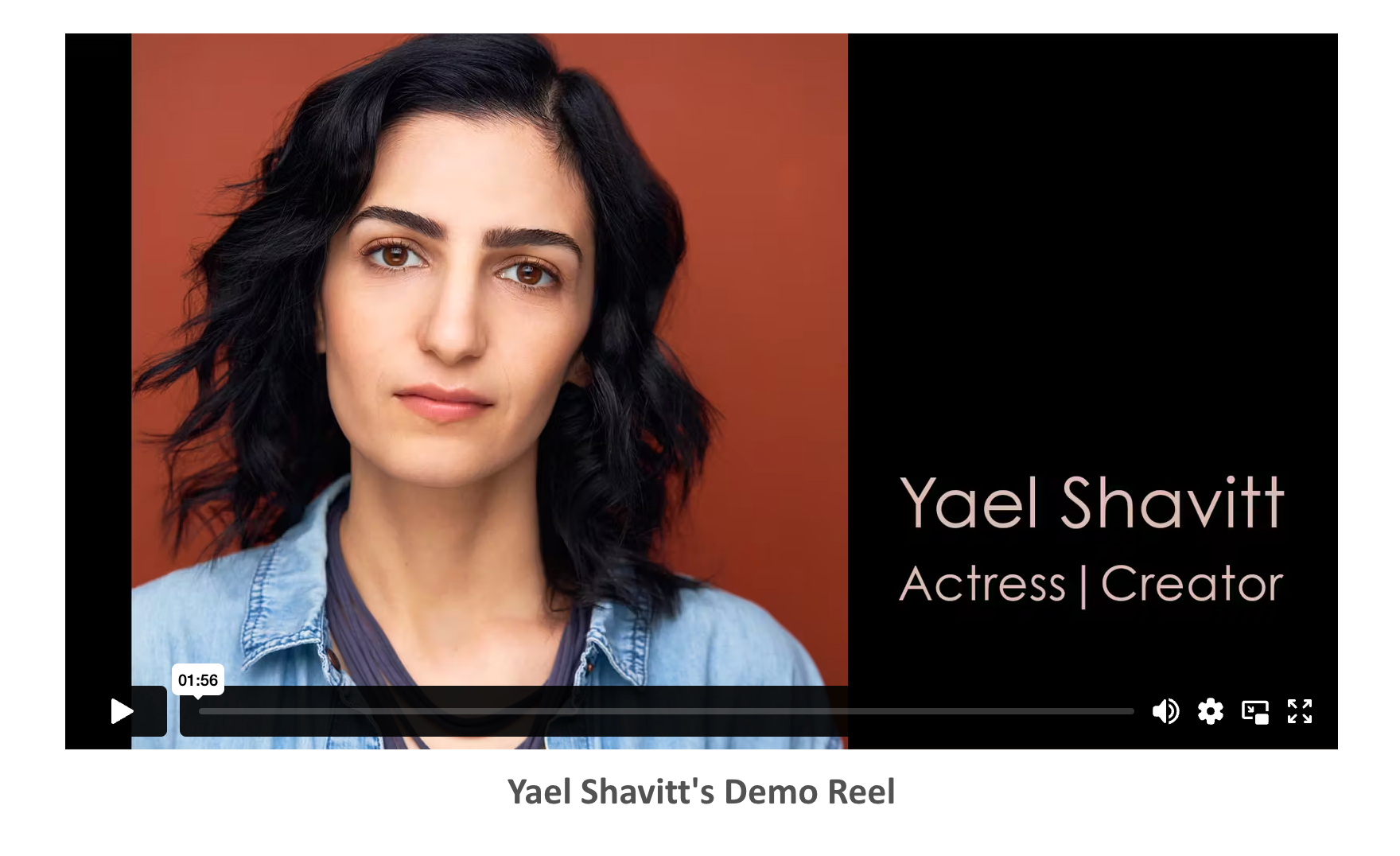 Yael Shavitt - RESUME