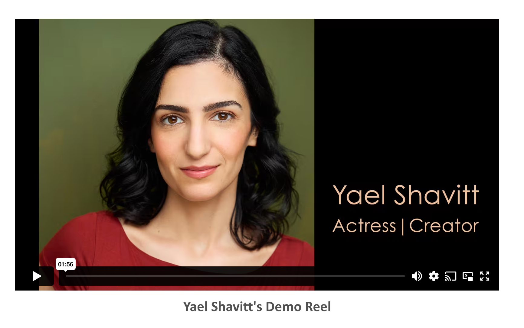 Yael Shavitt - RESUME