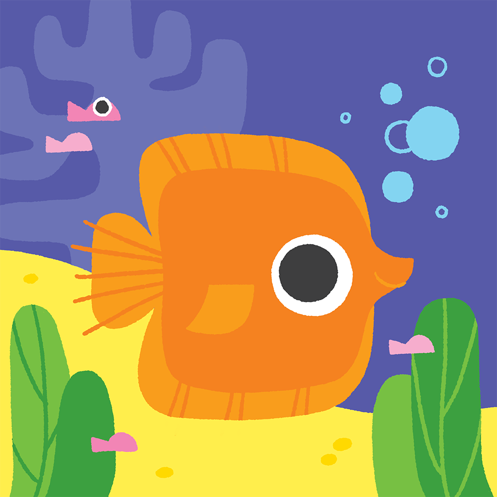 Kim Faria | Children's Illustrator / Designer / Producer