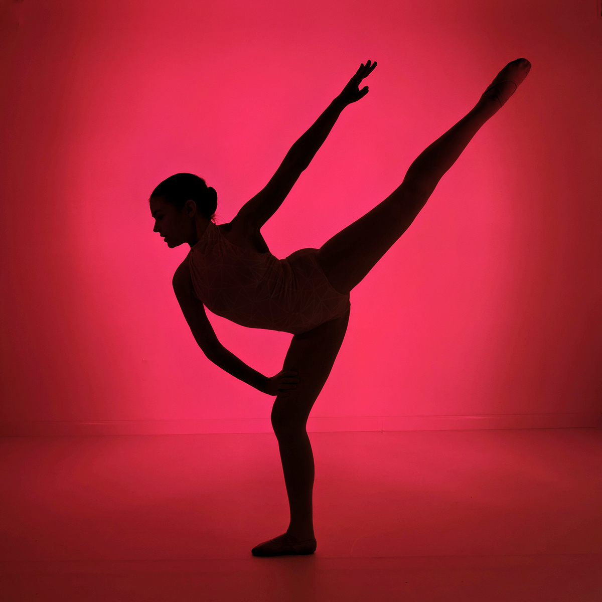 Dave Dabour Photography - New Jersey - Lehigh Valley Dance, Sports and ...