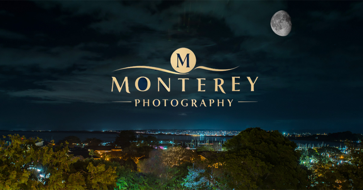 Monterey Wedding Photographer | Monterey Photography
