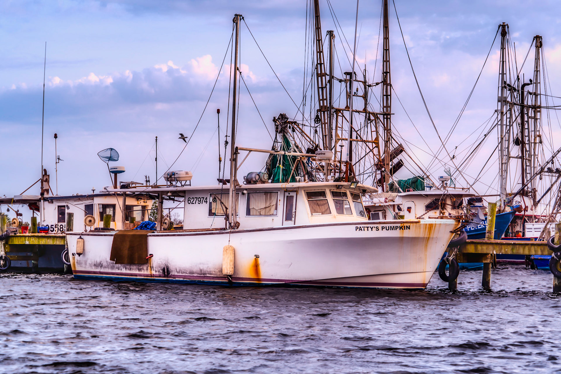 Stuart Schaefer - Seascape Gallery