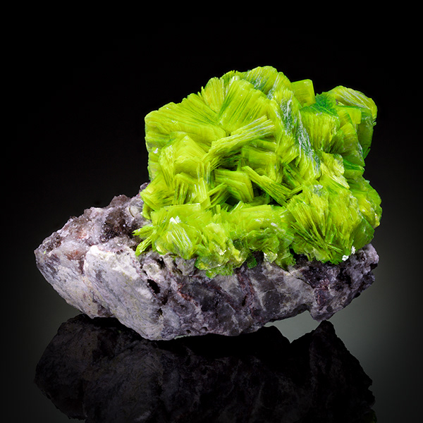 matt mcgill - Clients