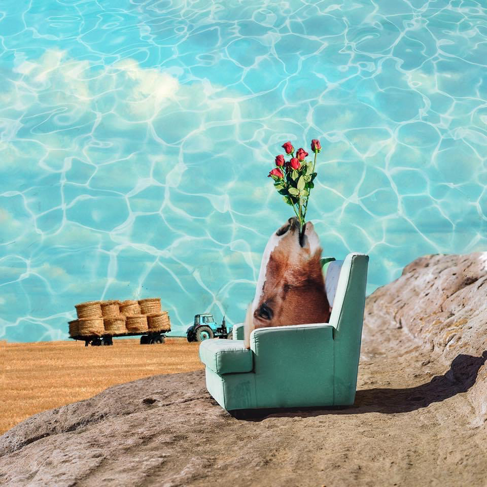 M Swain Design - Surreal.