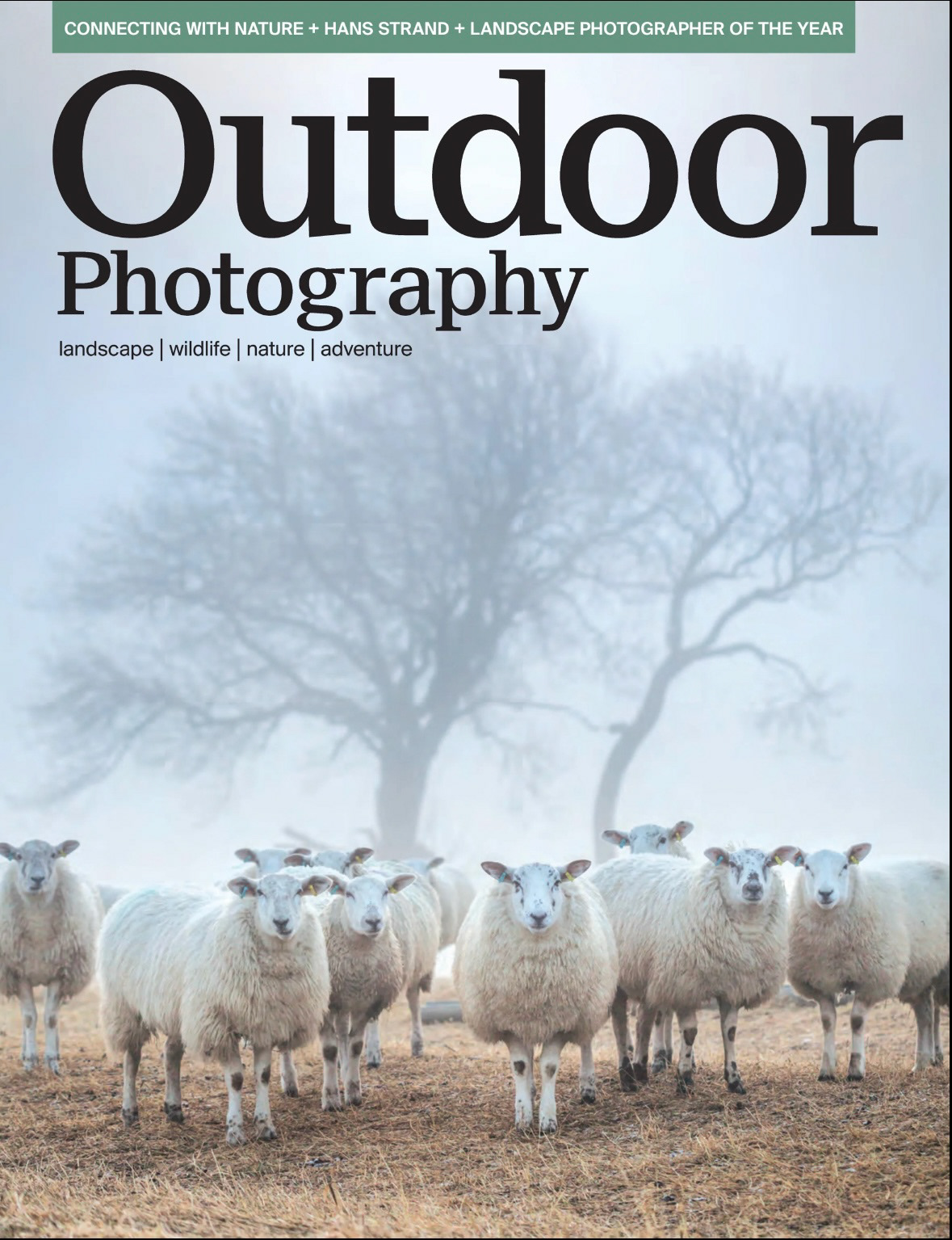 AndyGrayPhotography - News