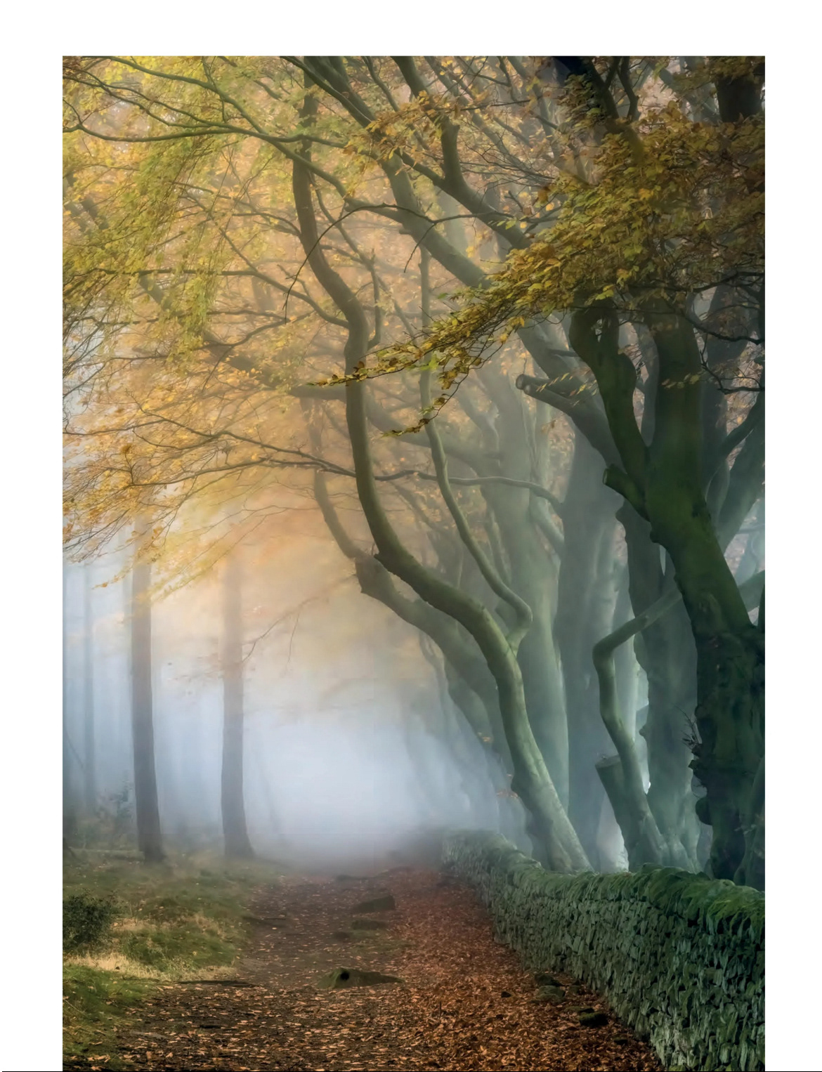 AndyGrayPhotography - News