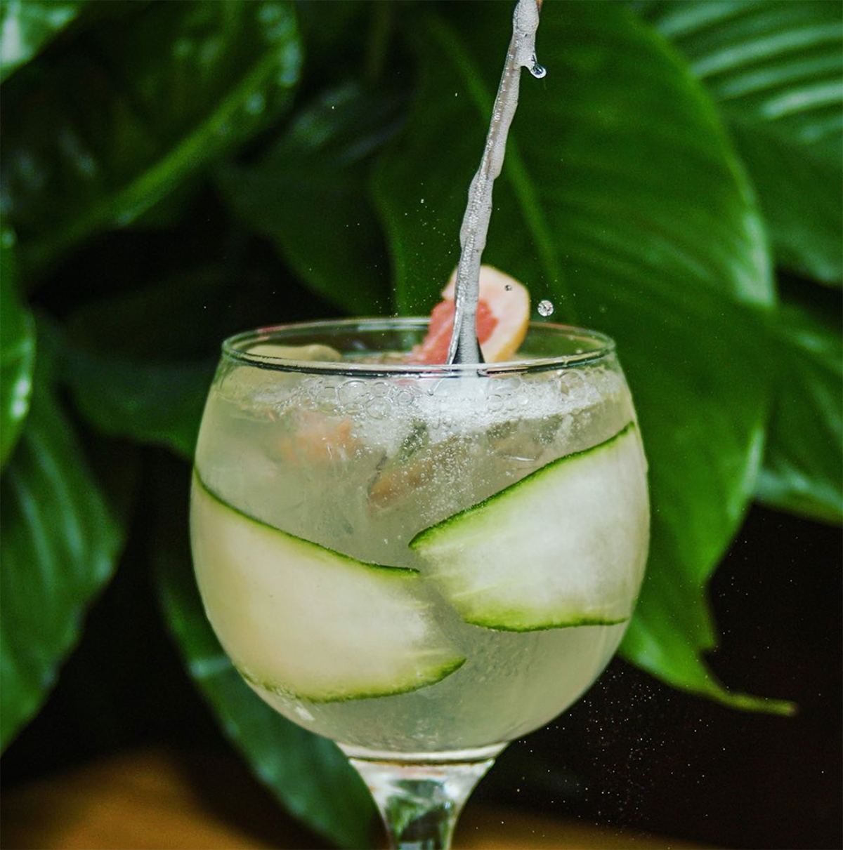 Fennec Studio - Food